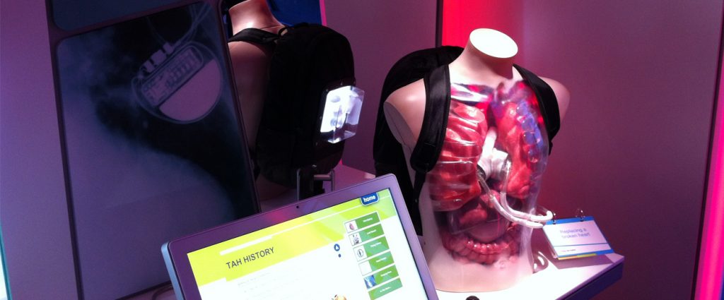 Anatomical Model - Model Makers Bristol / Amalgam Model Making