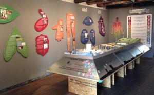 Architecture Exhibitions and Chimps - Model Makers Bristol / Amalgam ...