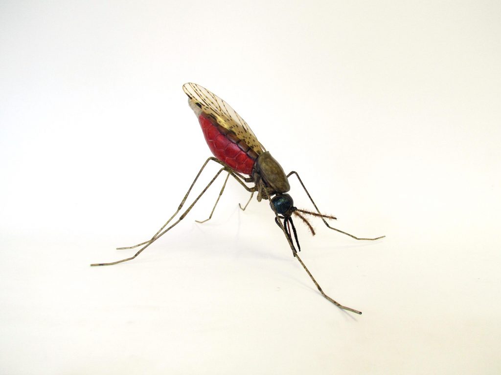 Large scale insect models for IVCC to mark World Malaria Day - Model ...