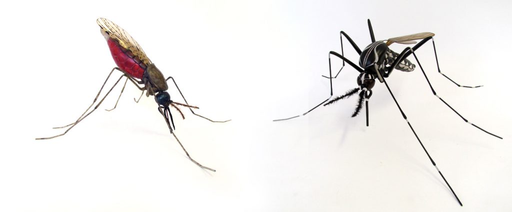 IVCC raise awareness with large display models on World Malaria Day ...